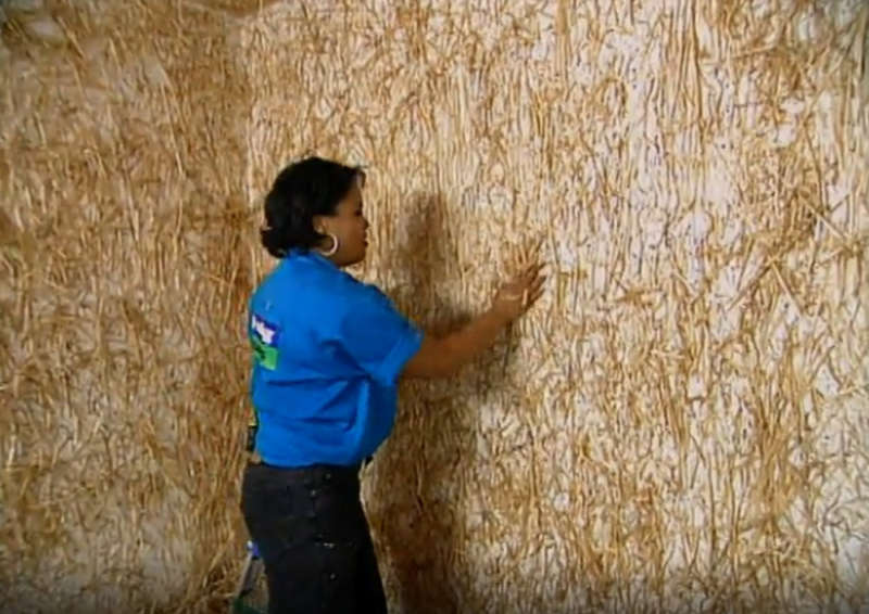 5 ‘WTF?’ Moments From TV’s Original Run of Home Decorating Show ...